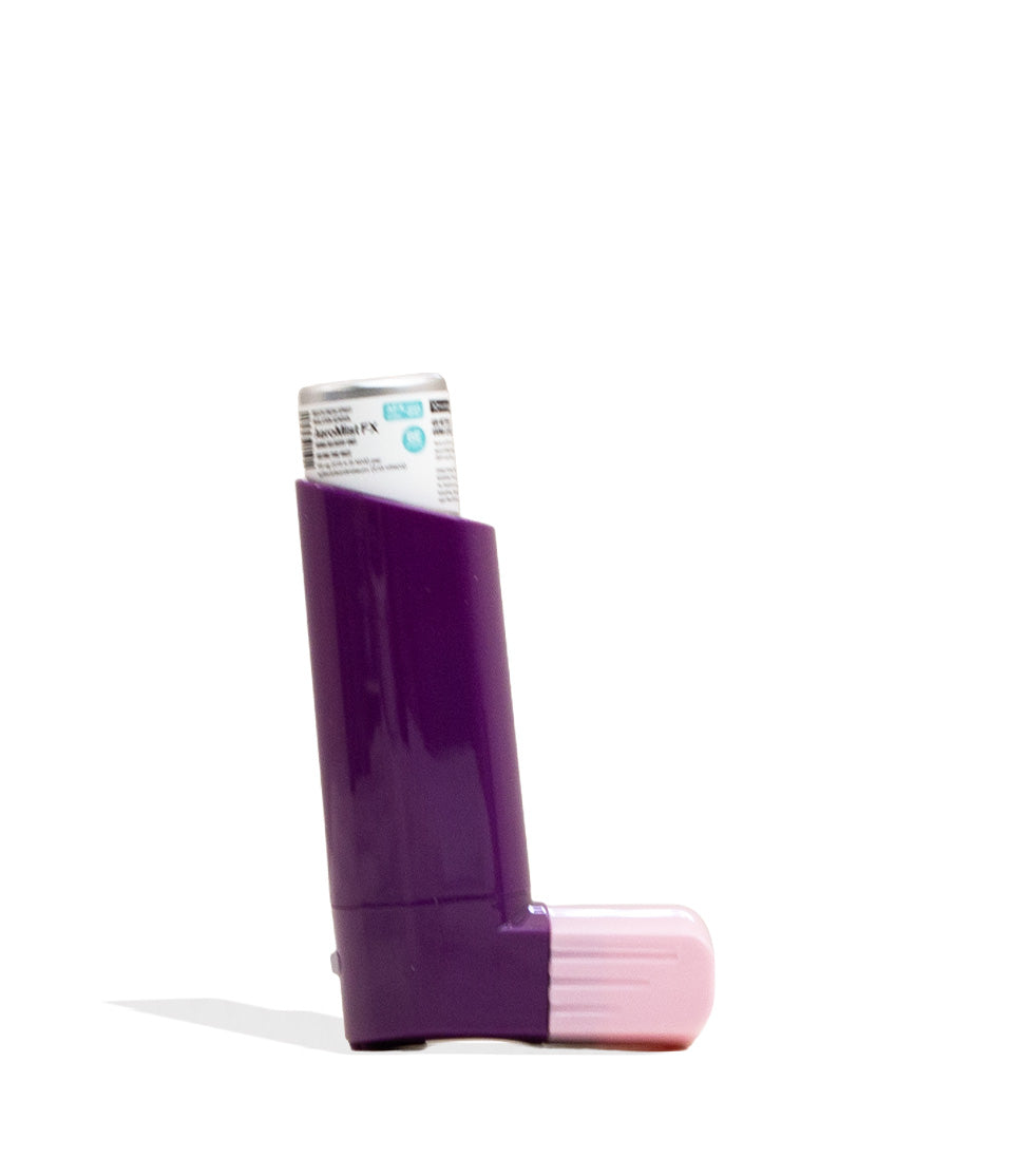 Shop Smyle Inhaler 510 Batteries and Cloud Filters – Got Vape Wholesale